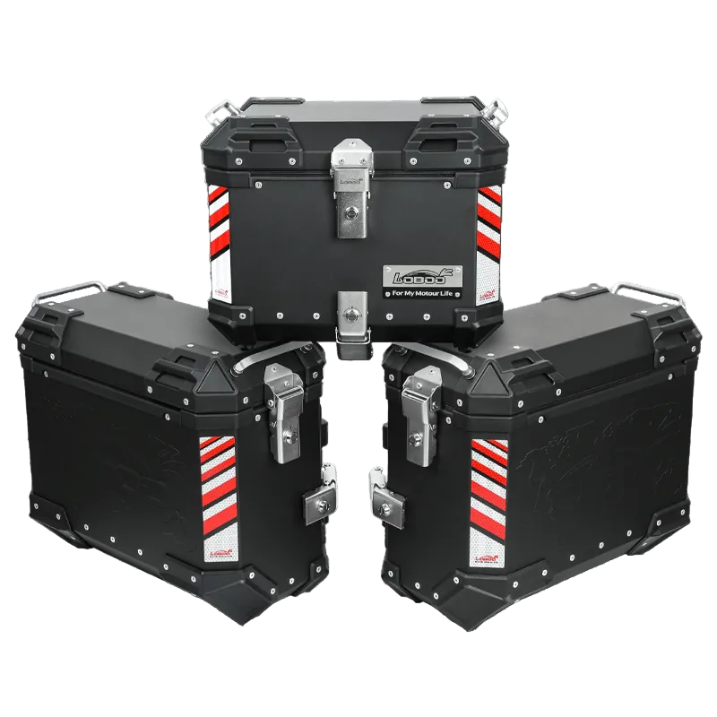 PIKE TRACKER Series Side Cases and Top Case-BMW R1300GS/1300GS ADV - LOBOO